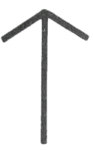 Tyr Rune | Washington D.C ADL
